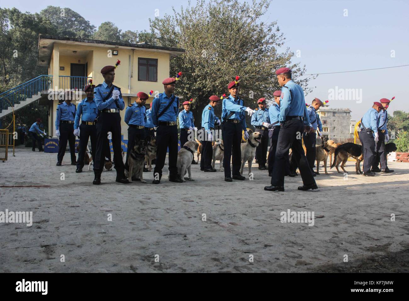Dog show line up hi-res stock photography and images - Alamy