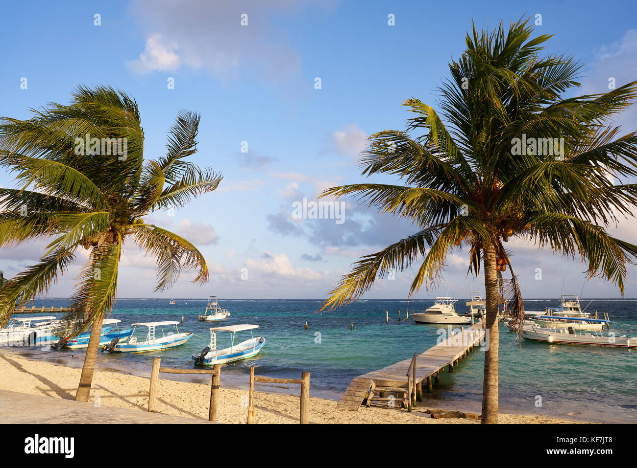 Riviera Maya beach coconut palm trees at Mayan Mexico Stock Photo - Alamy