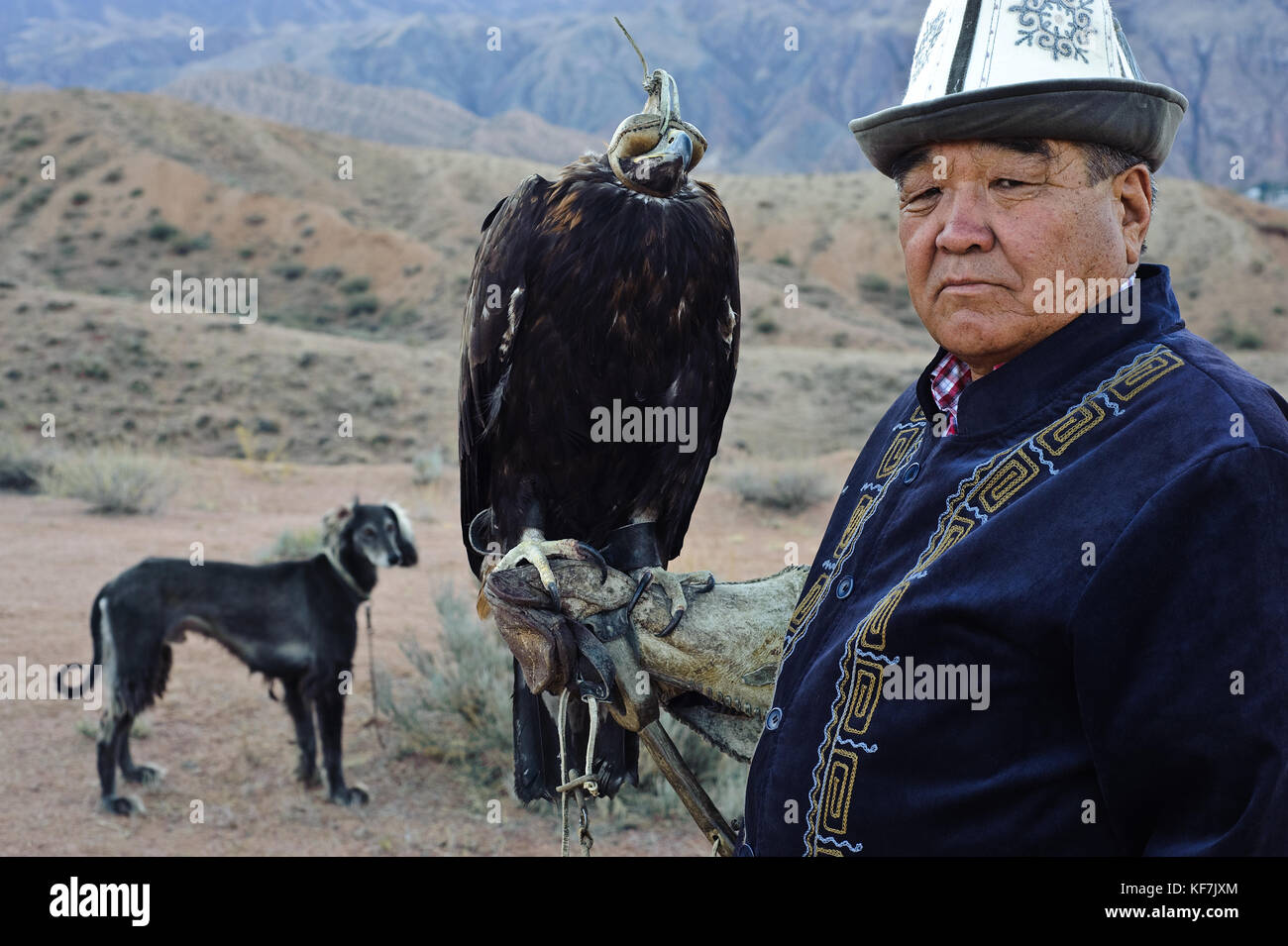 Eagle hunter with taïgan dog ( Kyrgyzstan Stock Photo - Alamy