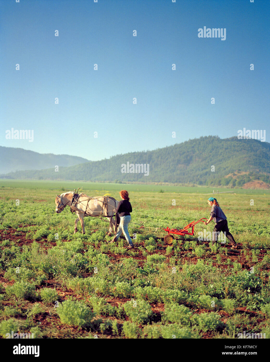 Farmer Plowing Usa High Resolution Stock Photography and Images - Alamy