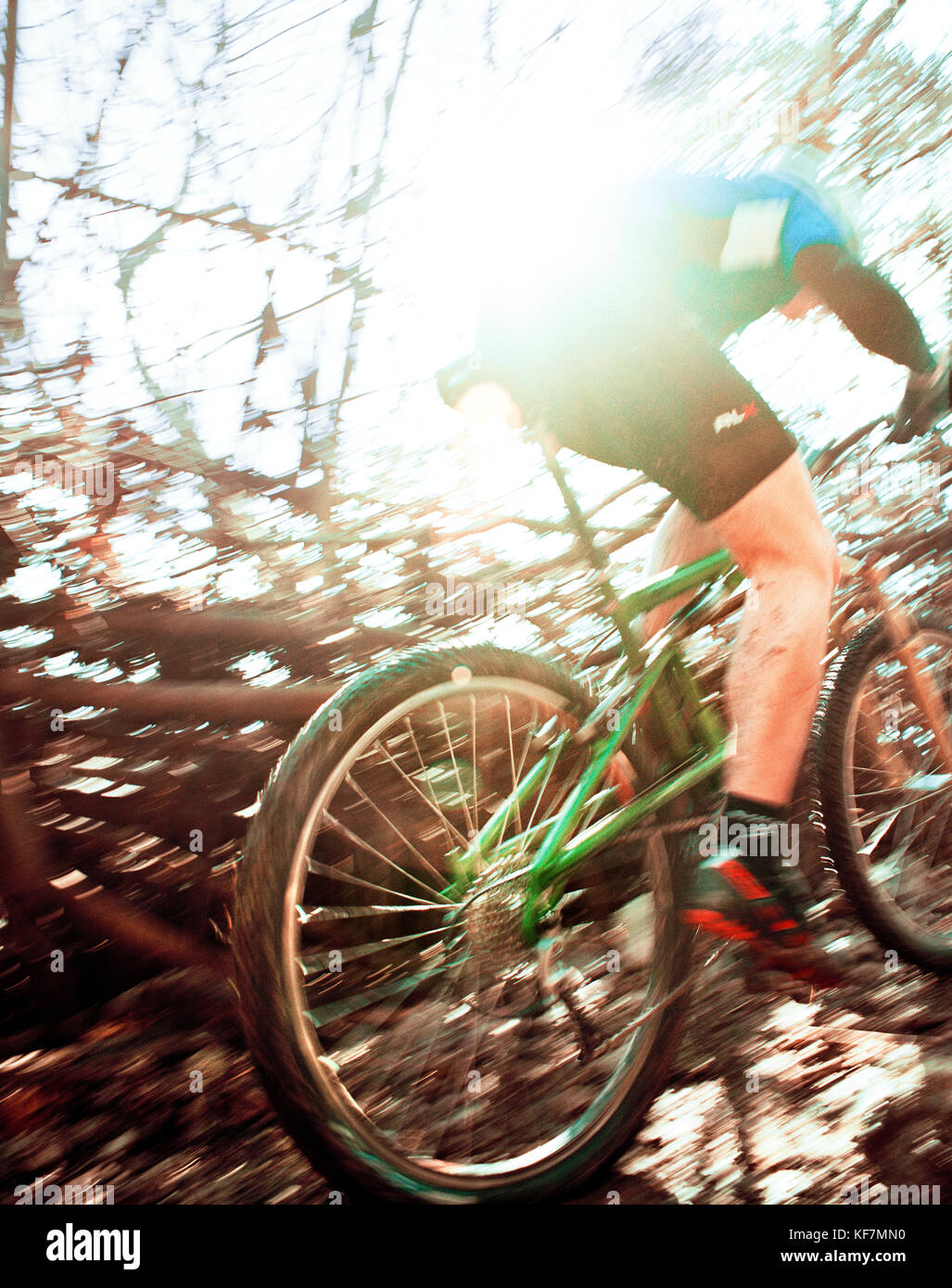 USA, California, Marin County, a man rides his mountain bike on a trail ...