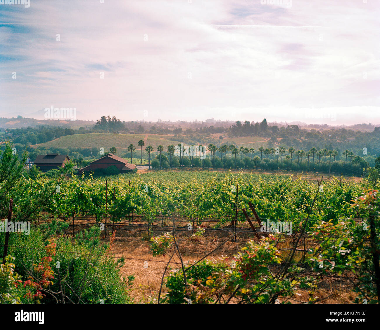 Sebastopol cannon hi-res stock photography and images - Alamy