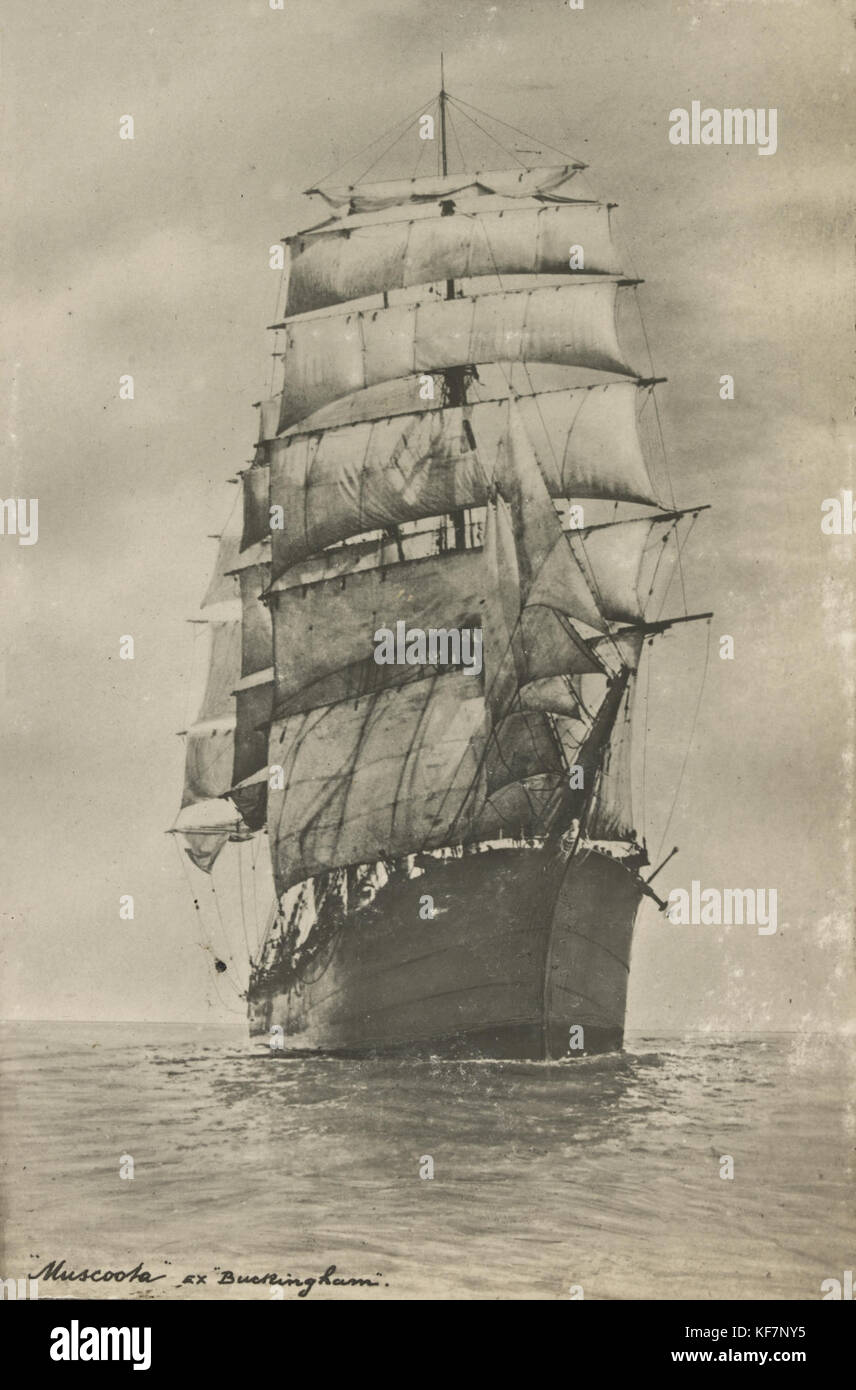 Muscoota hi-res stock photography and images - Alamy