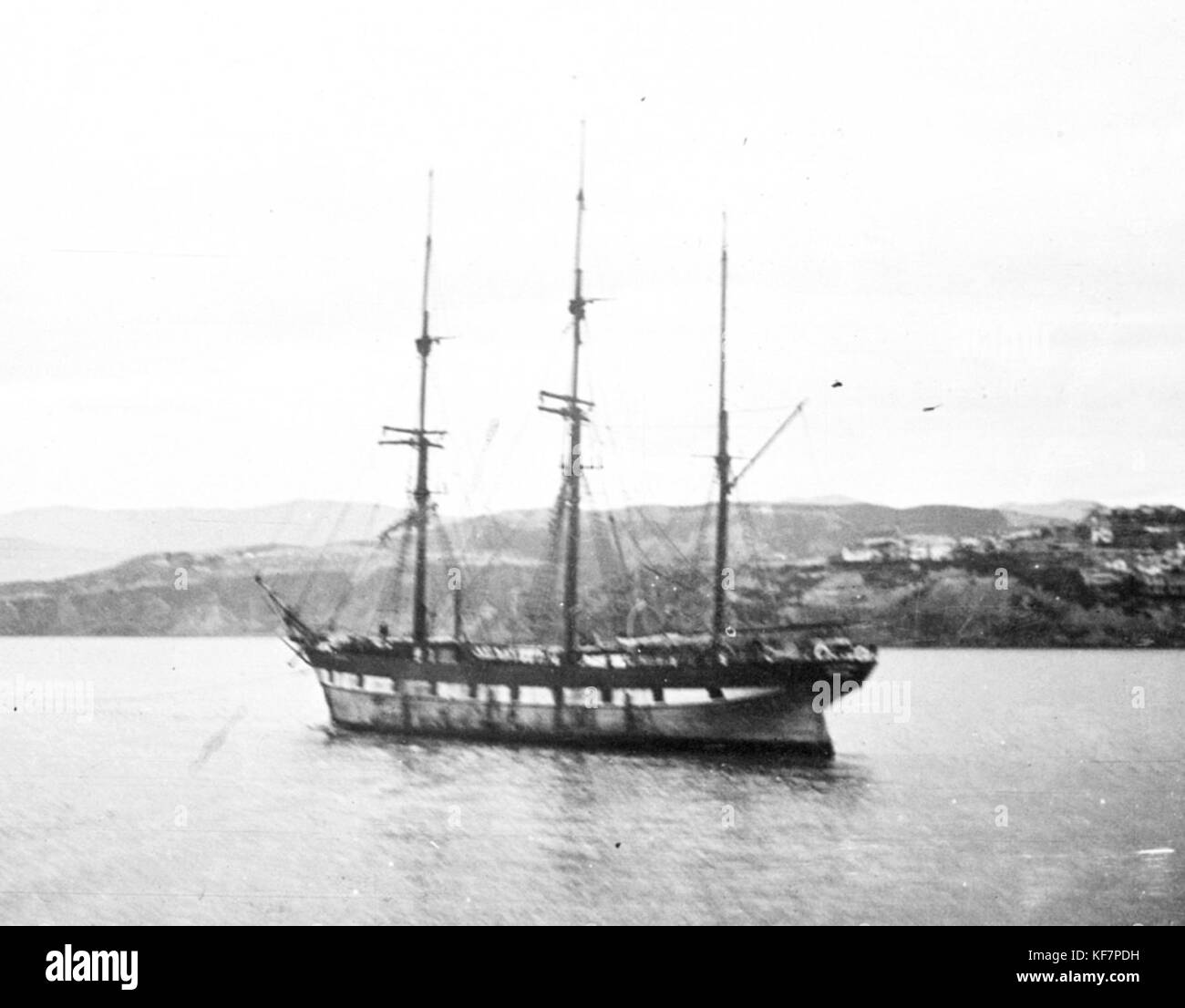 Raupo hi-res stock photography and images - Alamy