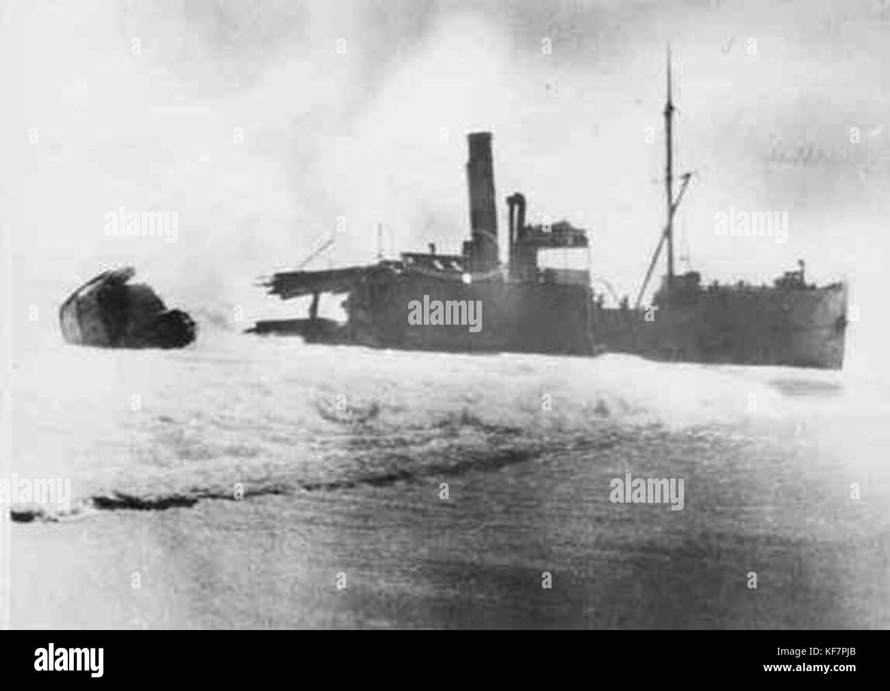 Ss ferret hi-res stock photography and images - Alamy