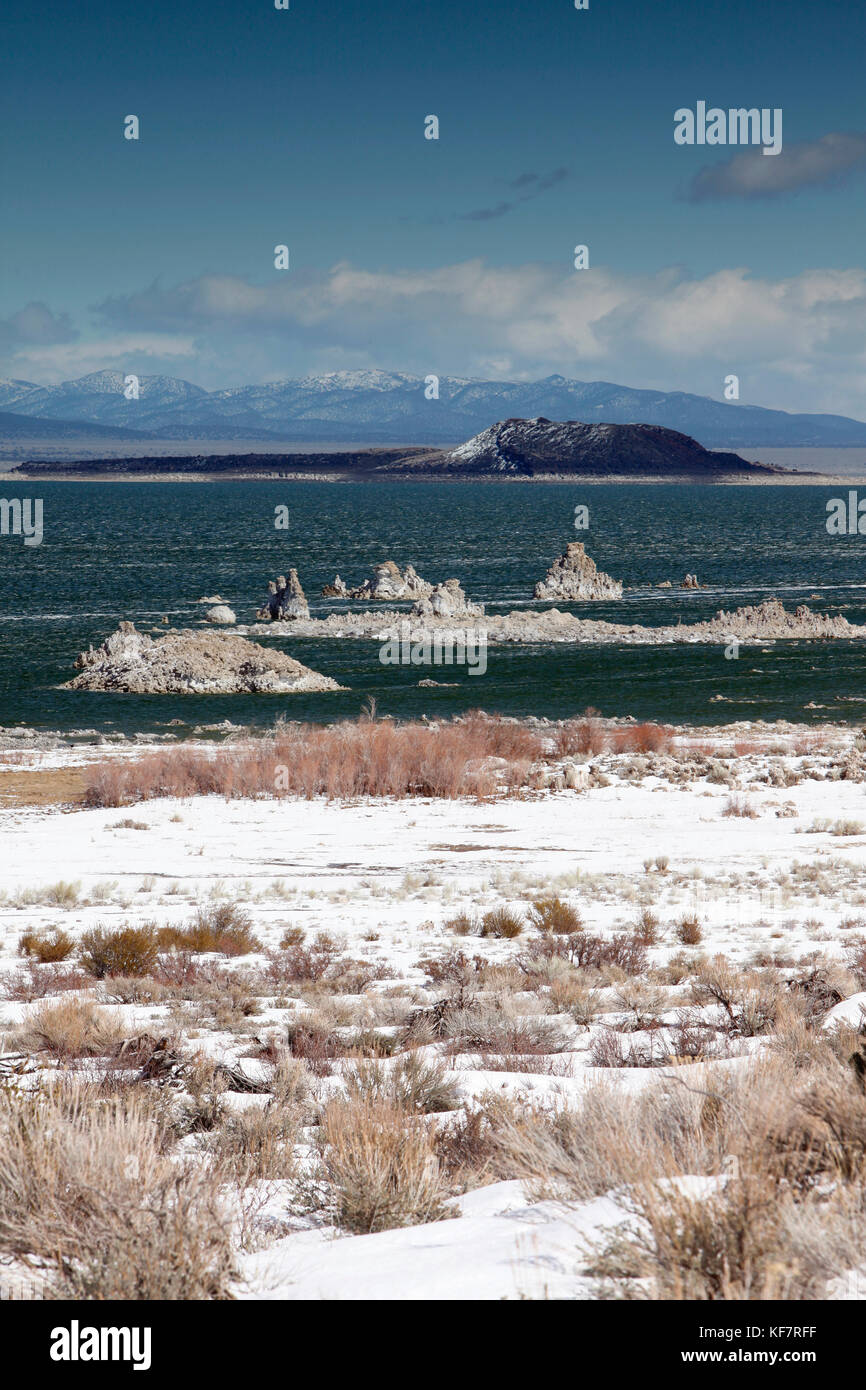 USA, California, Mammoth, the blue and green water at Mono Lake ...
