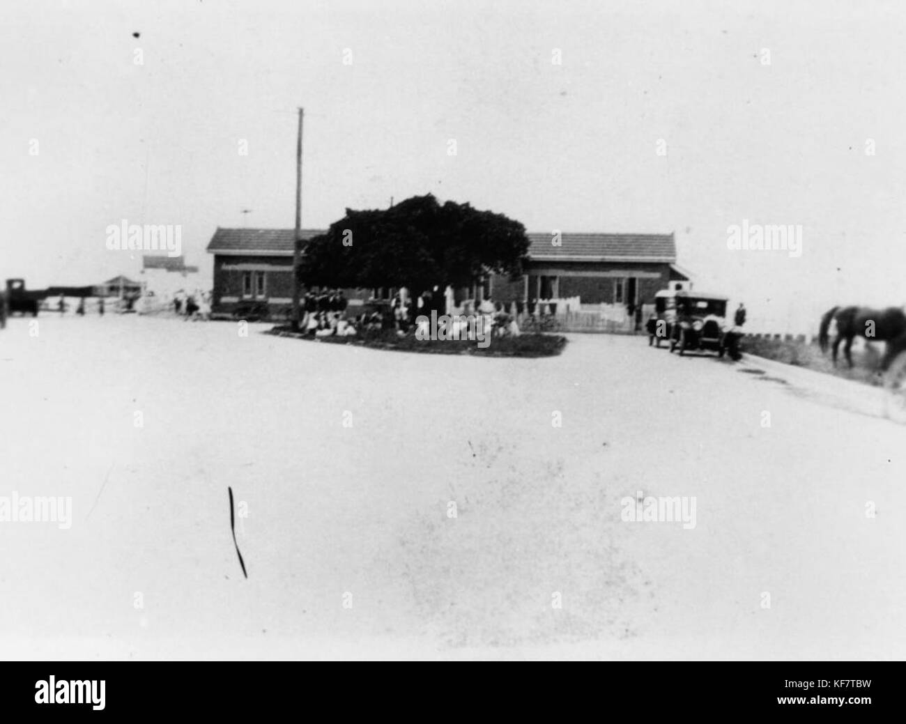 1 118588 Group of people standing under a tree outside the Manly Baths ...