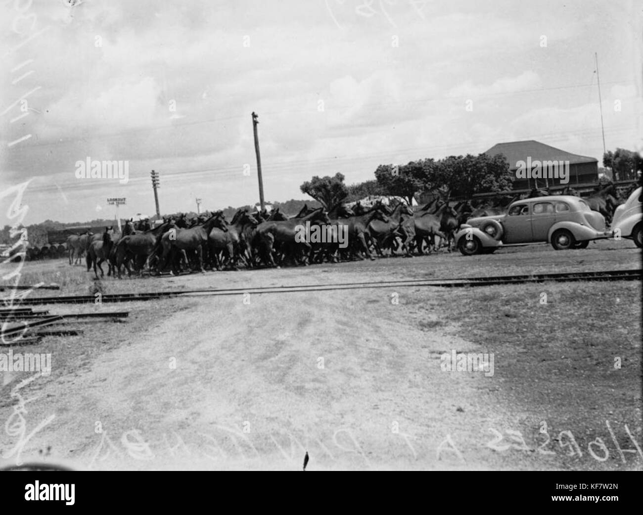 Pinkenba High Resolution Stock Photography and Images - Alamy