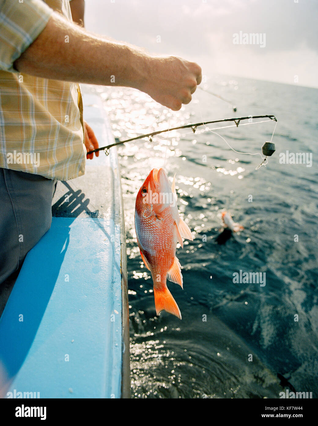 USA, Florida, man with red snapper on boat, Destin Stock Photo - Alamy