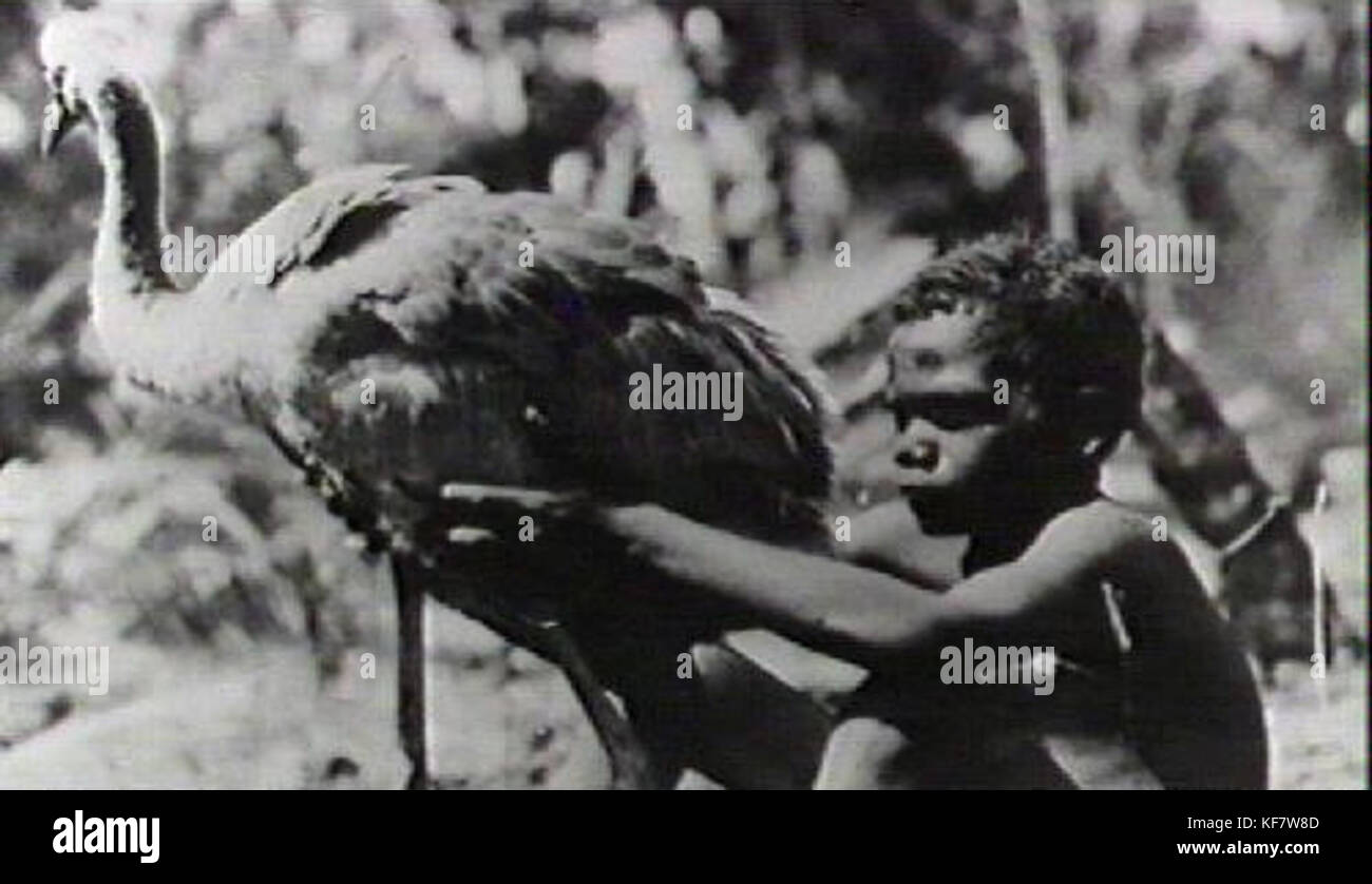 Australian aboriginal family culture hi-res stock photography and ...