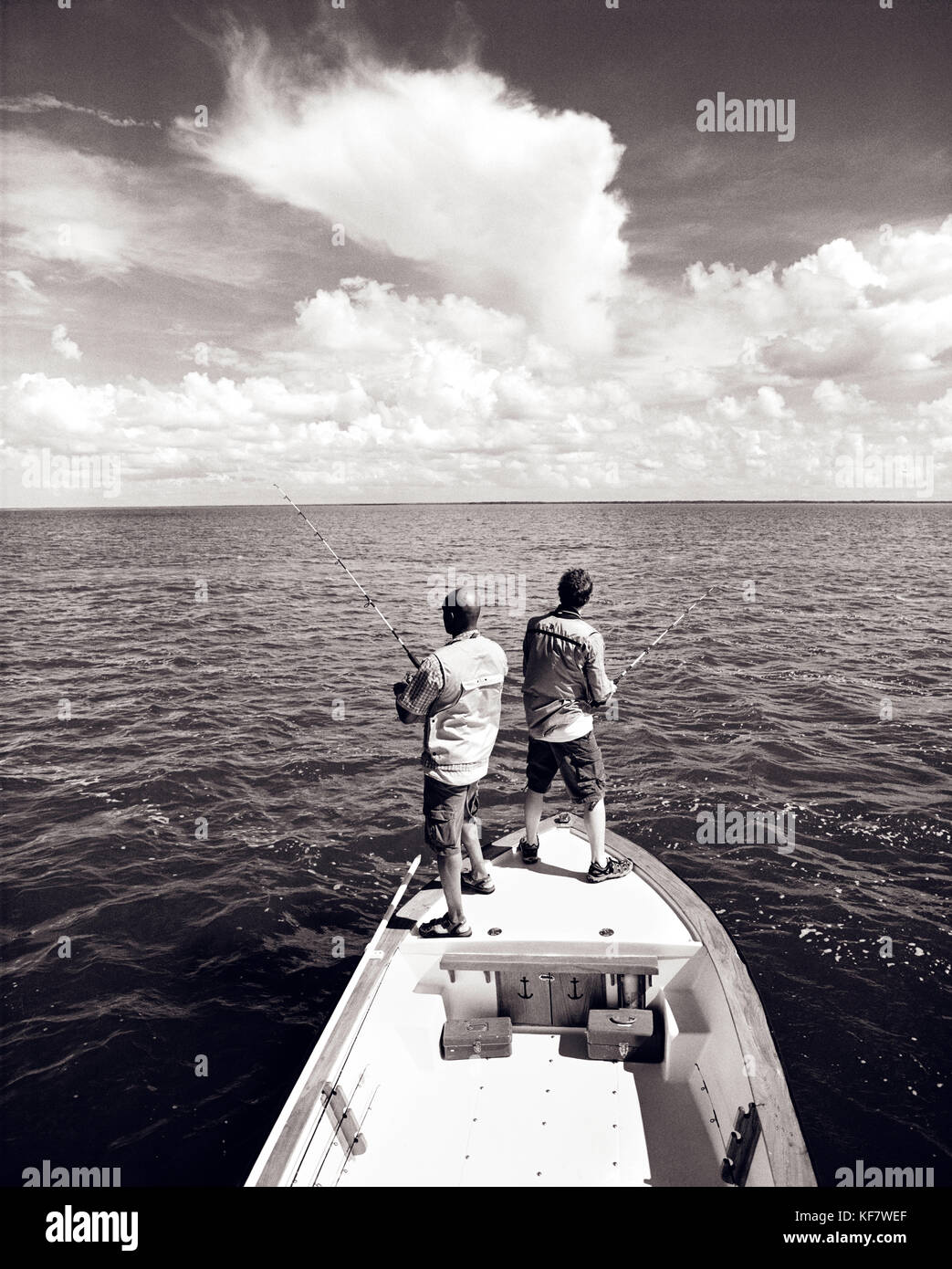 Baitfish fishing hi-res stock photography and images - Alamy