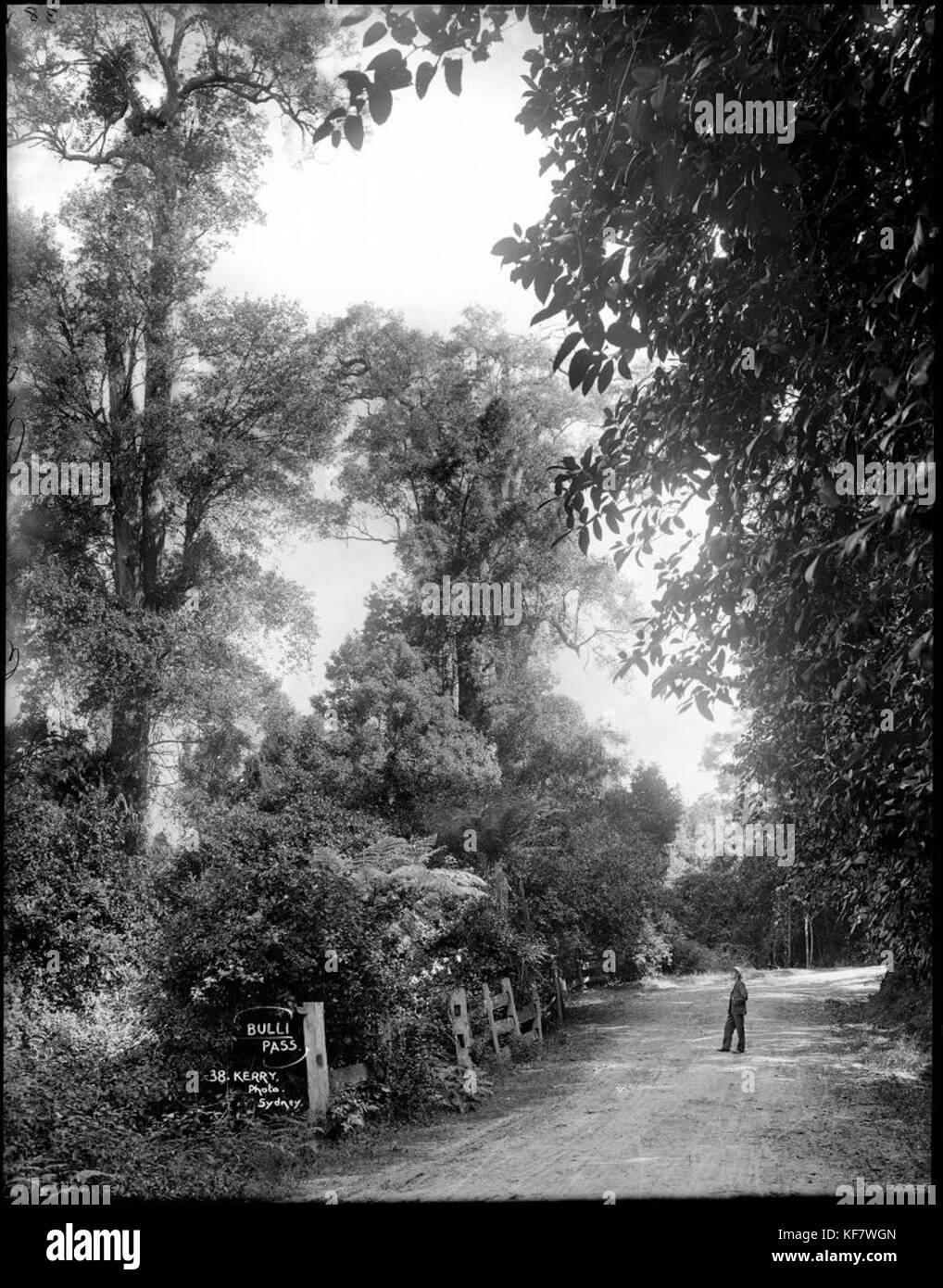 Bulli Pass High Resolution Stock Photography and Images - Alamy