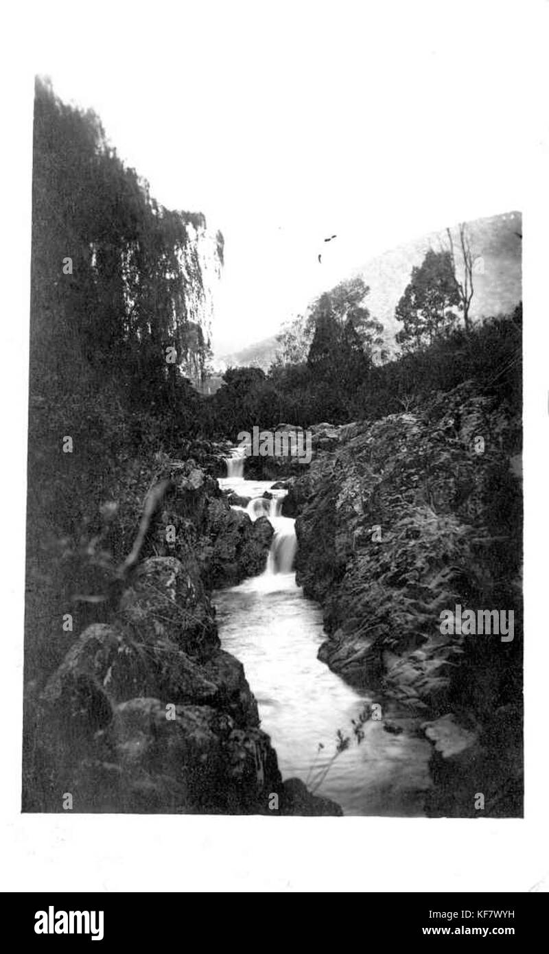 Natural vegetation in area Cut Out Stock Images & Pictures - Alamy