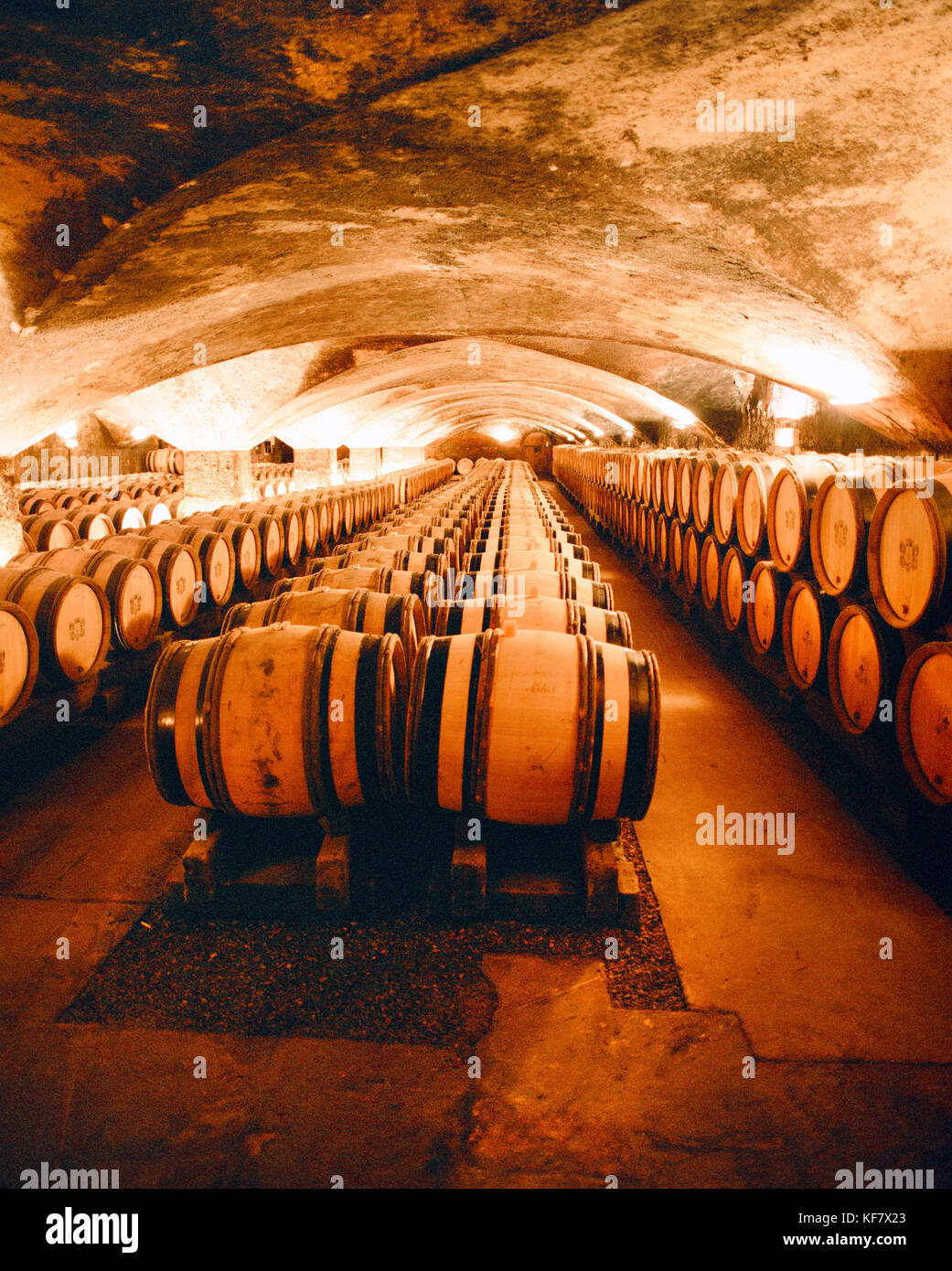 FRANCE, Burgundy, wine barrels kept in illuminated wine cave, Chateau ...