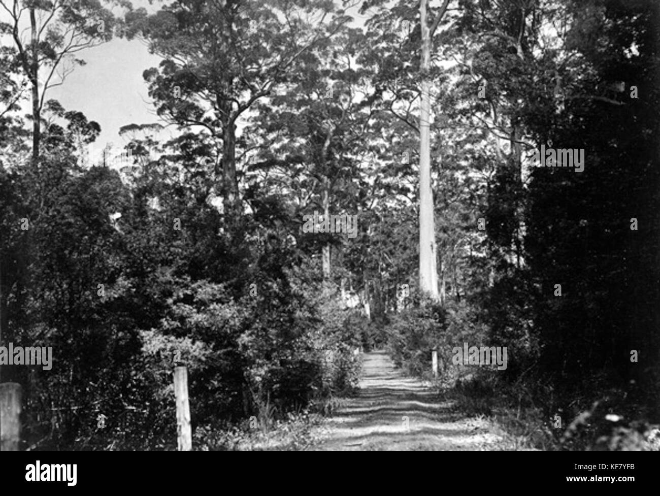Manjimup map hi-res stock photography and images - Alamy