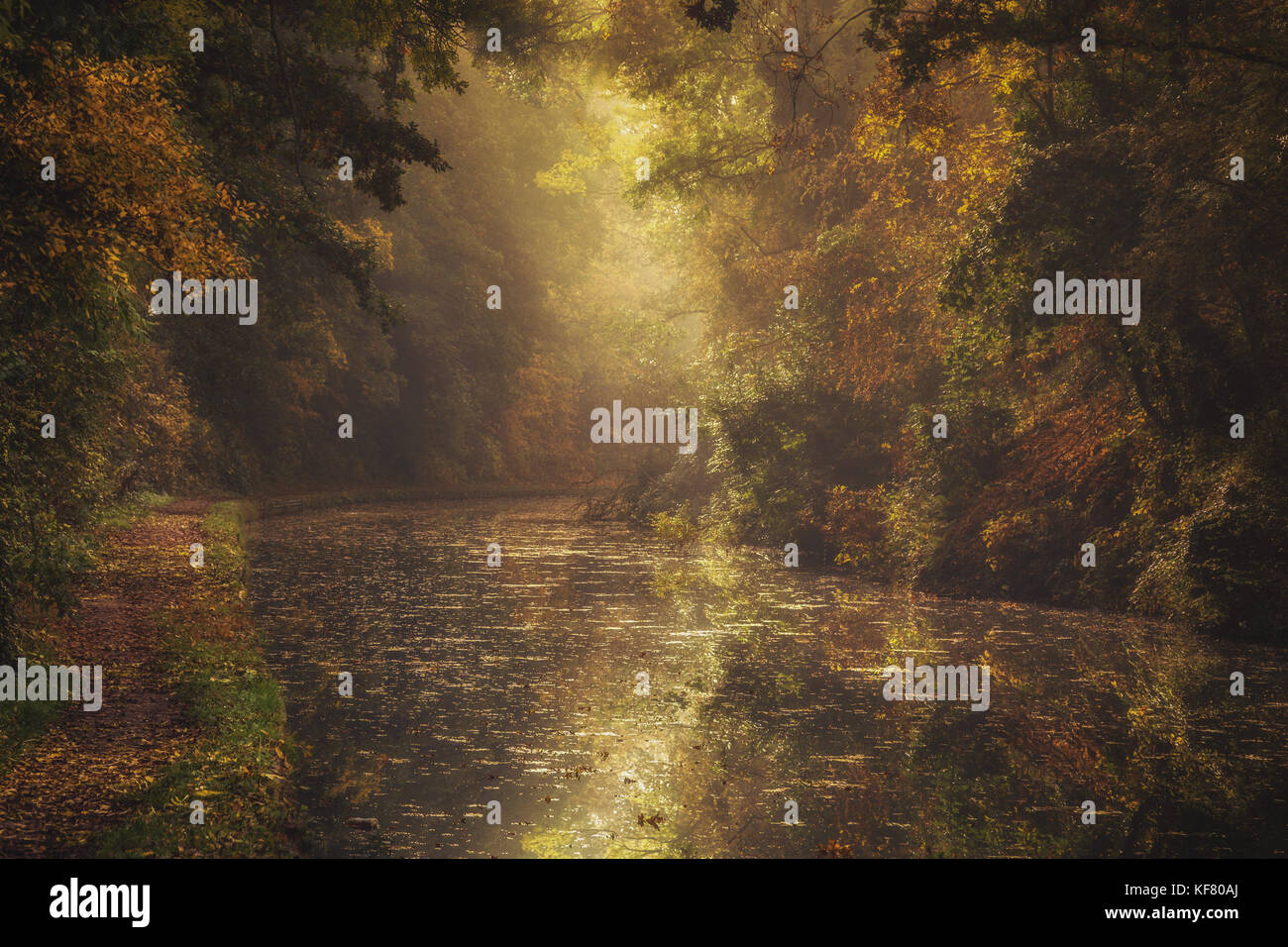 Autumn on the Grand Union Canal in Solihull, UK Stock Photo - Alamy