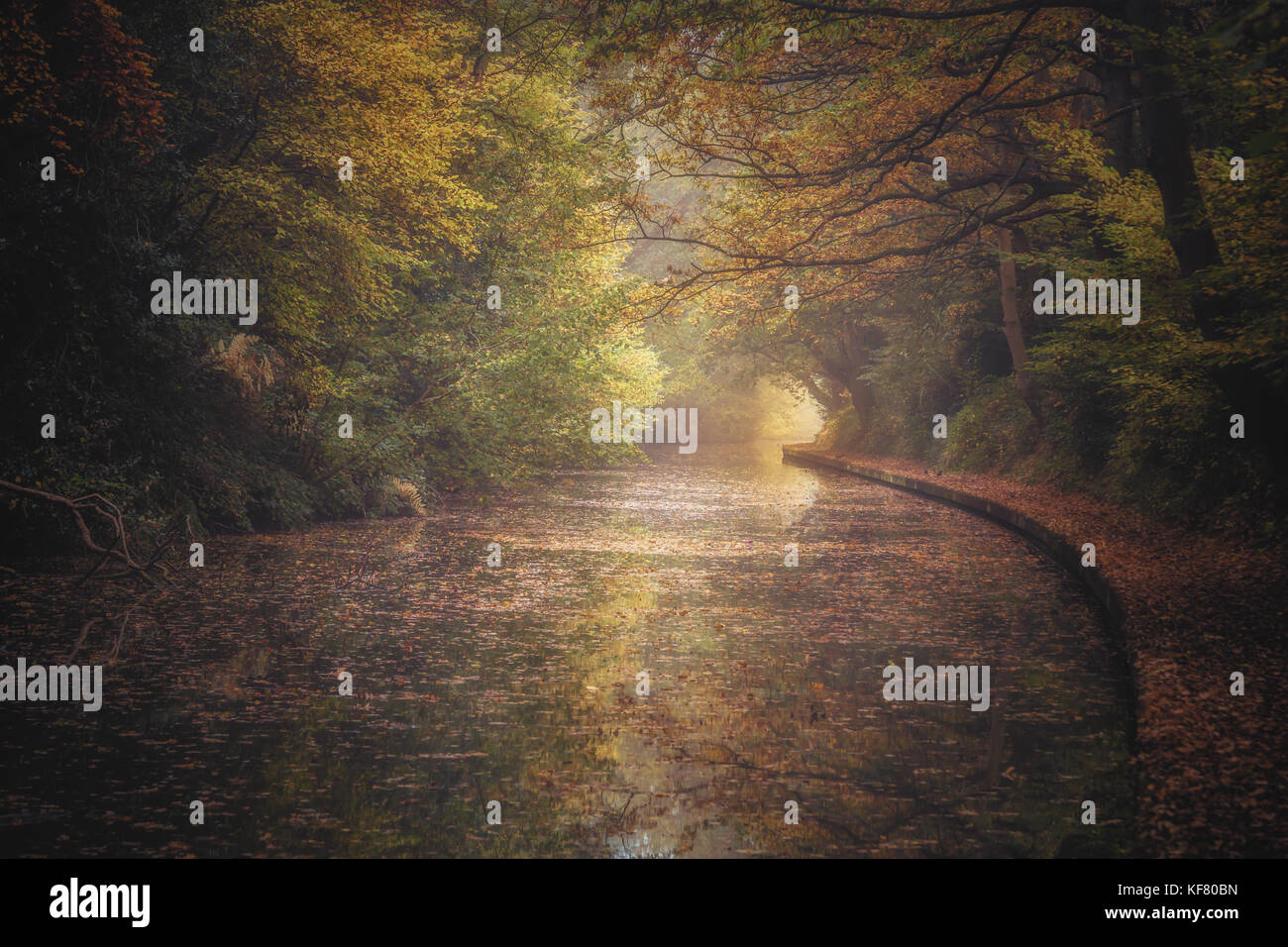 Autumn on the Grand Union Canal in Solihull, UK Stock Photo - Alamy