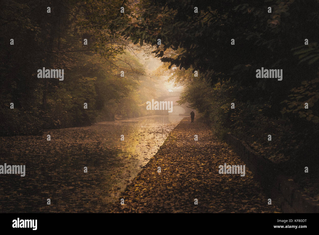 Autumn on the Grand Union Canal in Solihull, UK Stock Photo - Alamy