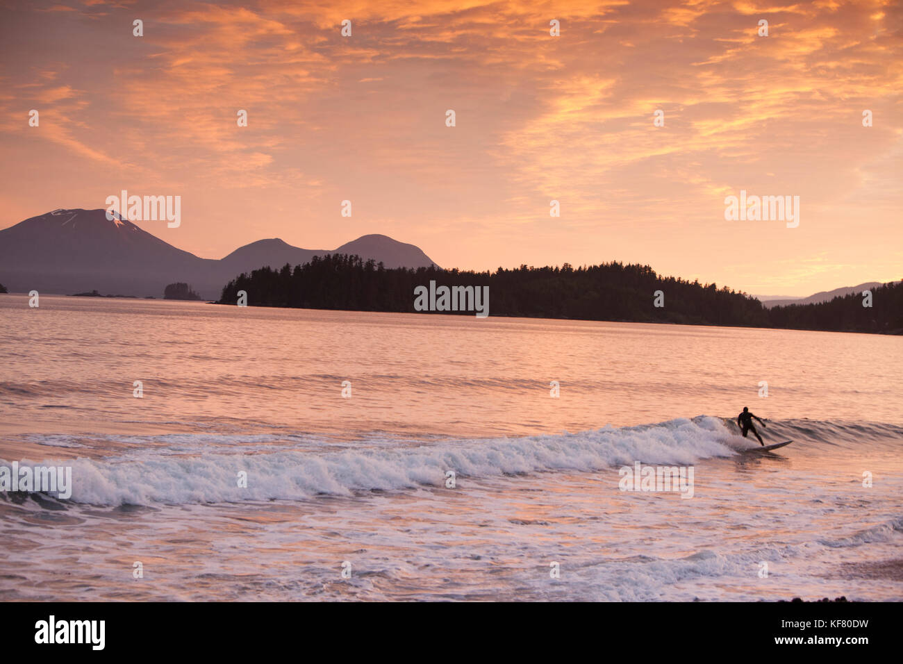 USA, Alaska, Sitka, a surfer catches waves created by the tidal shift ...