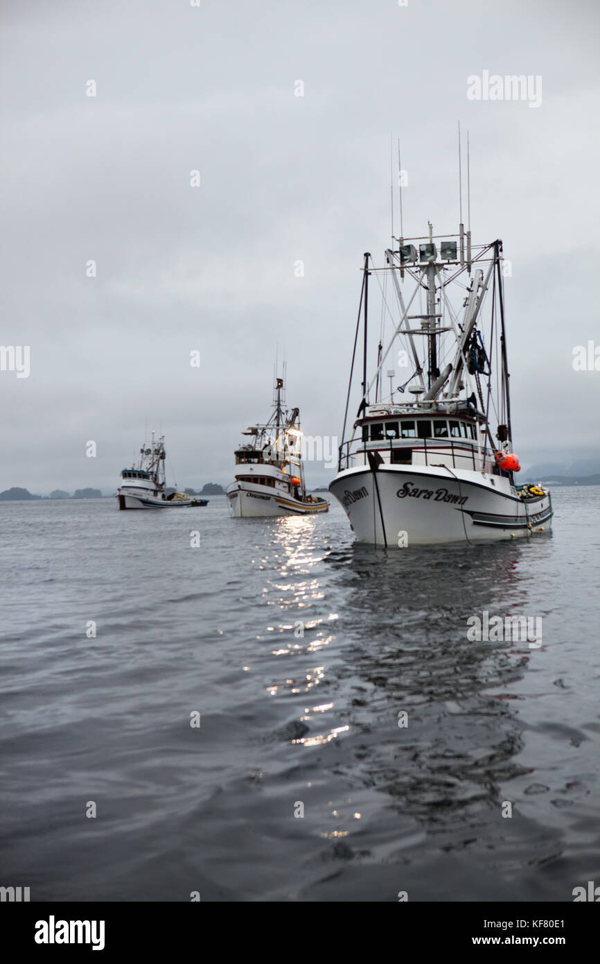 USA, Alaska, Sitka, seiners fish for Salmon outside of Deep Inlet, Big ...