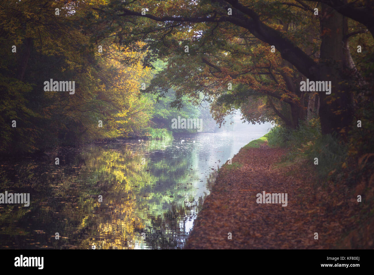 Autumn on the Grand Union Canal in Solihull, UK Stock Photo - Alamy