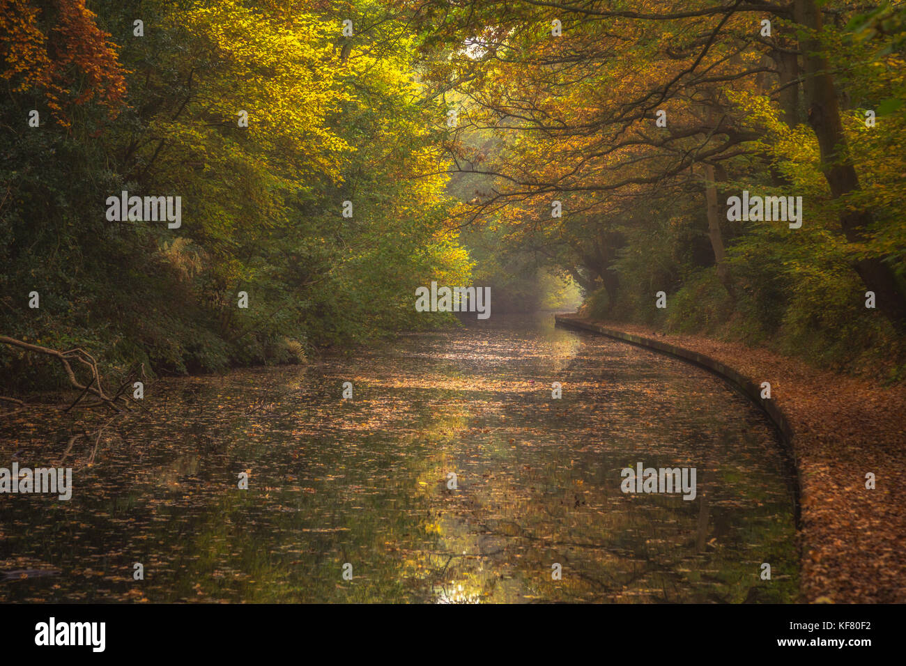 Autumn on the Grand Union Canal in Solihull, UK Stock Photo - Alamy