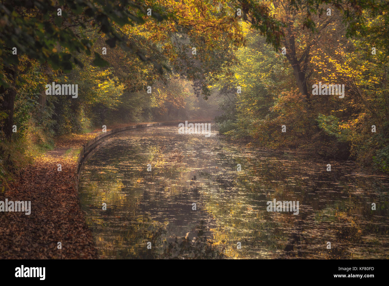 Autumn on the Grand Union Canal in Solihull, UK Stock Photo - Alamy