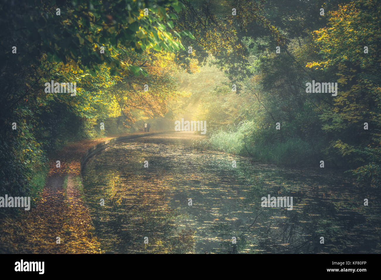 Autumn on the Grand Union Canal in Solihull, UK Stock Photo - Alamy