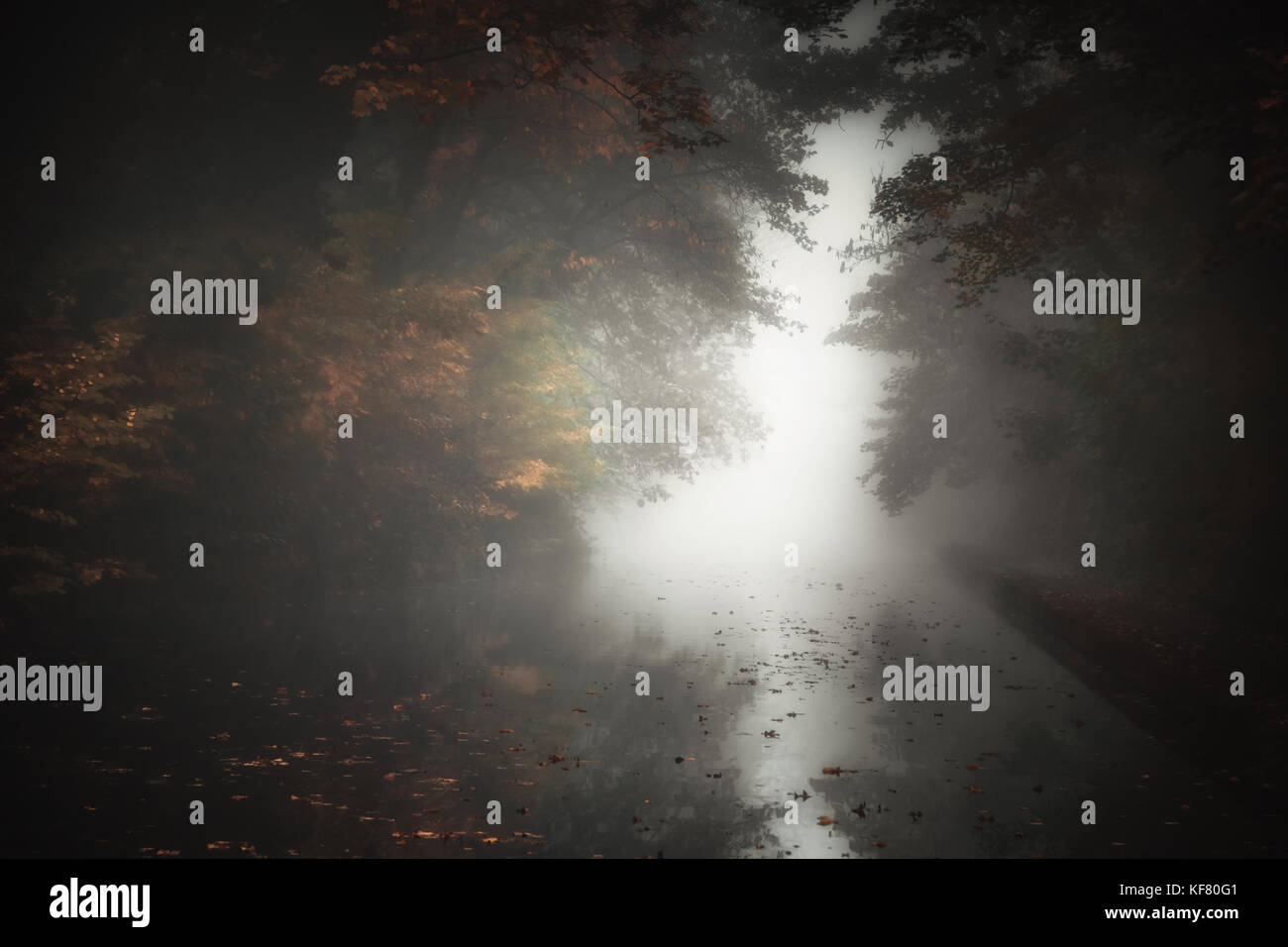 Autumn on the Grand Union Canal in Solihull, UK Stock Photo - Alamy