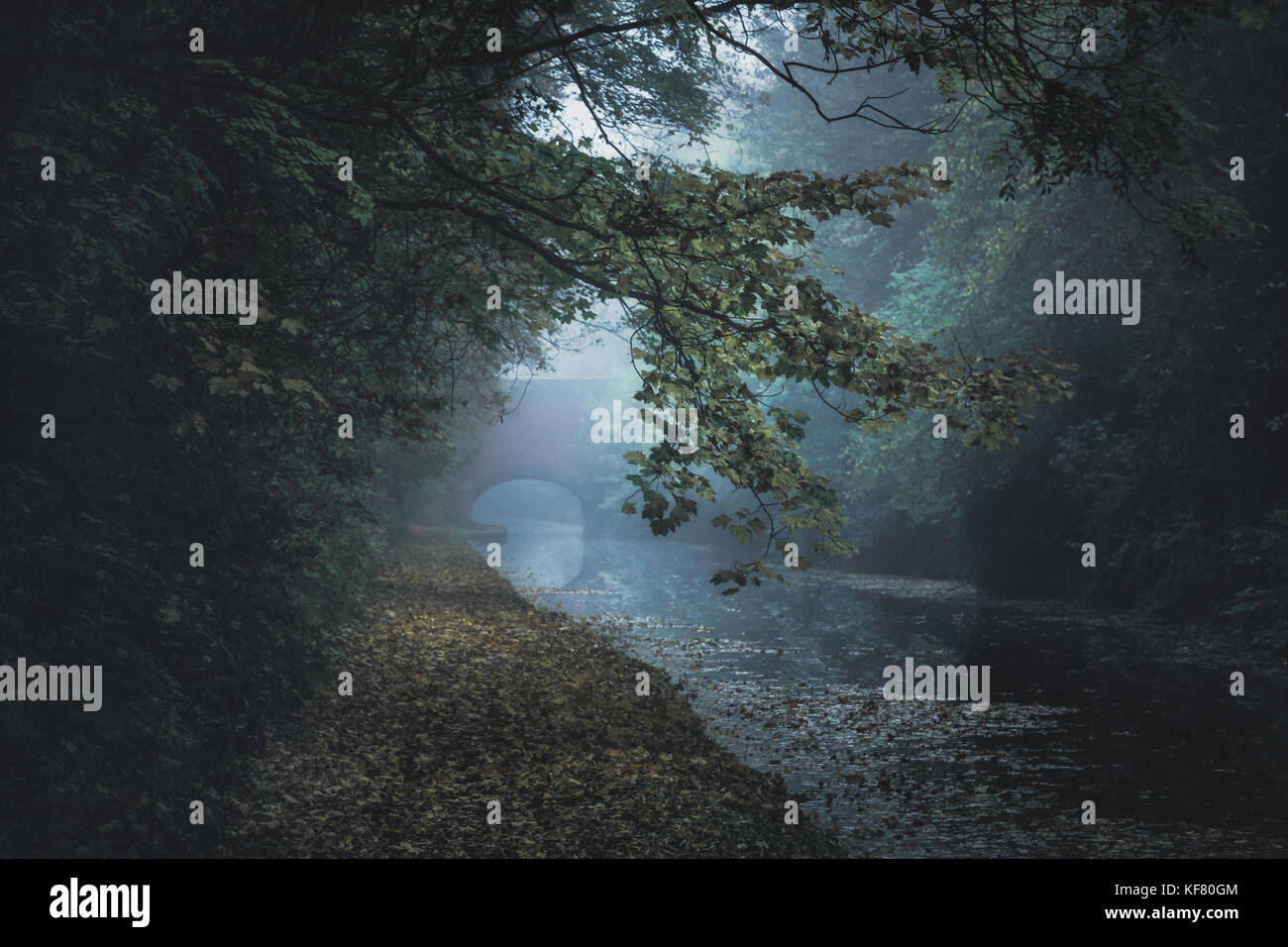 Autumn on the Grand Union Canal in Solihull, UK Stock Photo - Alamy