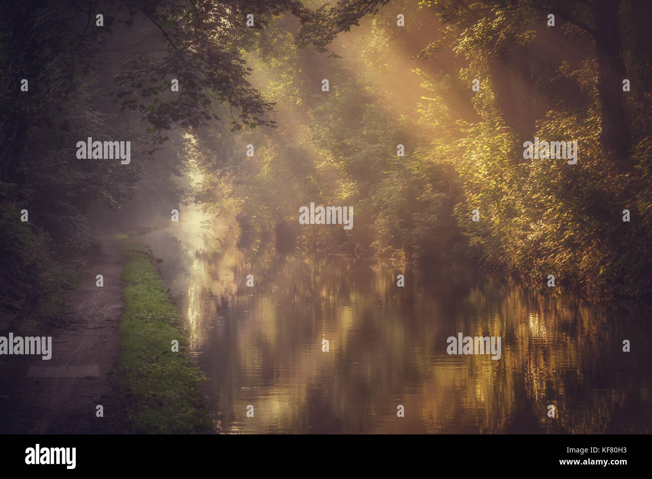 Autumn on the Grand Union Canal in Solihull, UK Stock Photo - Alamy