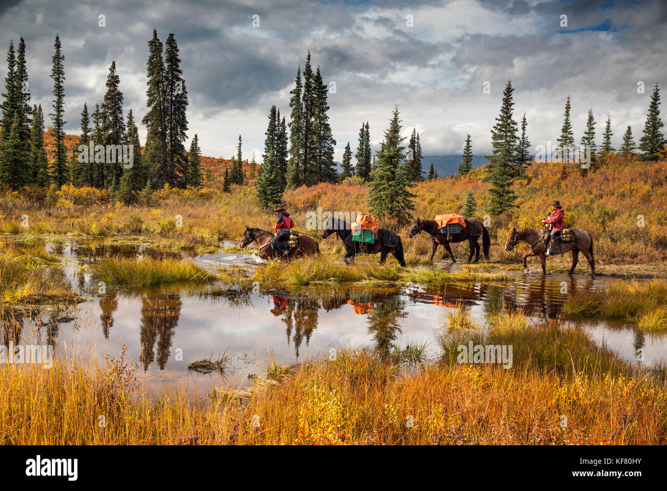Jack and a female horse hi-res stock photography and images - Alamy