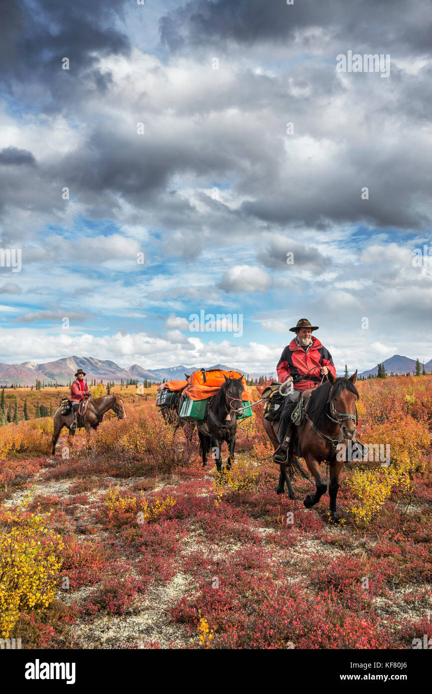 USA, Alaska, Cantwell, Horse Pack trip into the Jack River Valley at ...