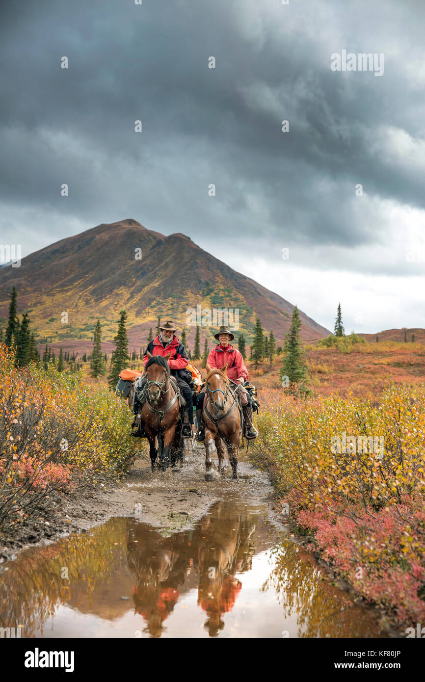 USA, Alaska, Cantwell, Horse Pack trip into the Jack River Valley at ...