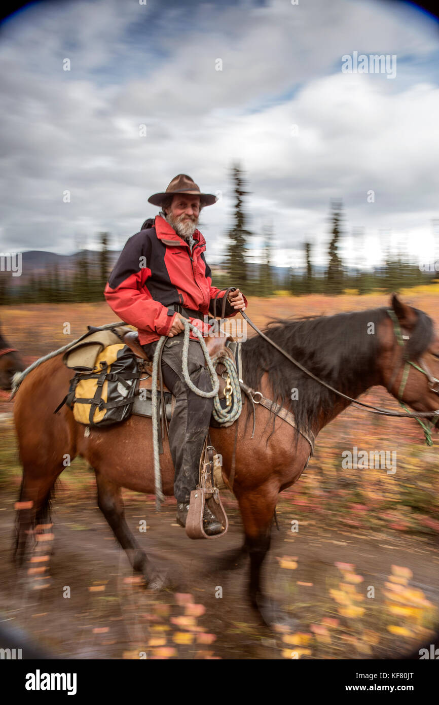 USA, Alaska, Cantwell, Horse Pack trip into the Jack River Valley at ...