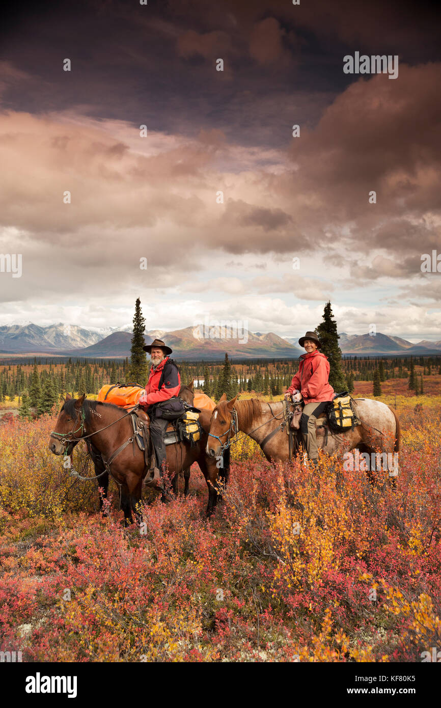 USA, Alaska, Cantwell, Horse Pack trip into the Jack River Valley at ...