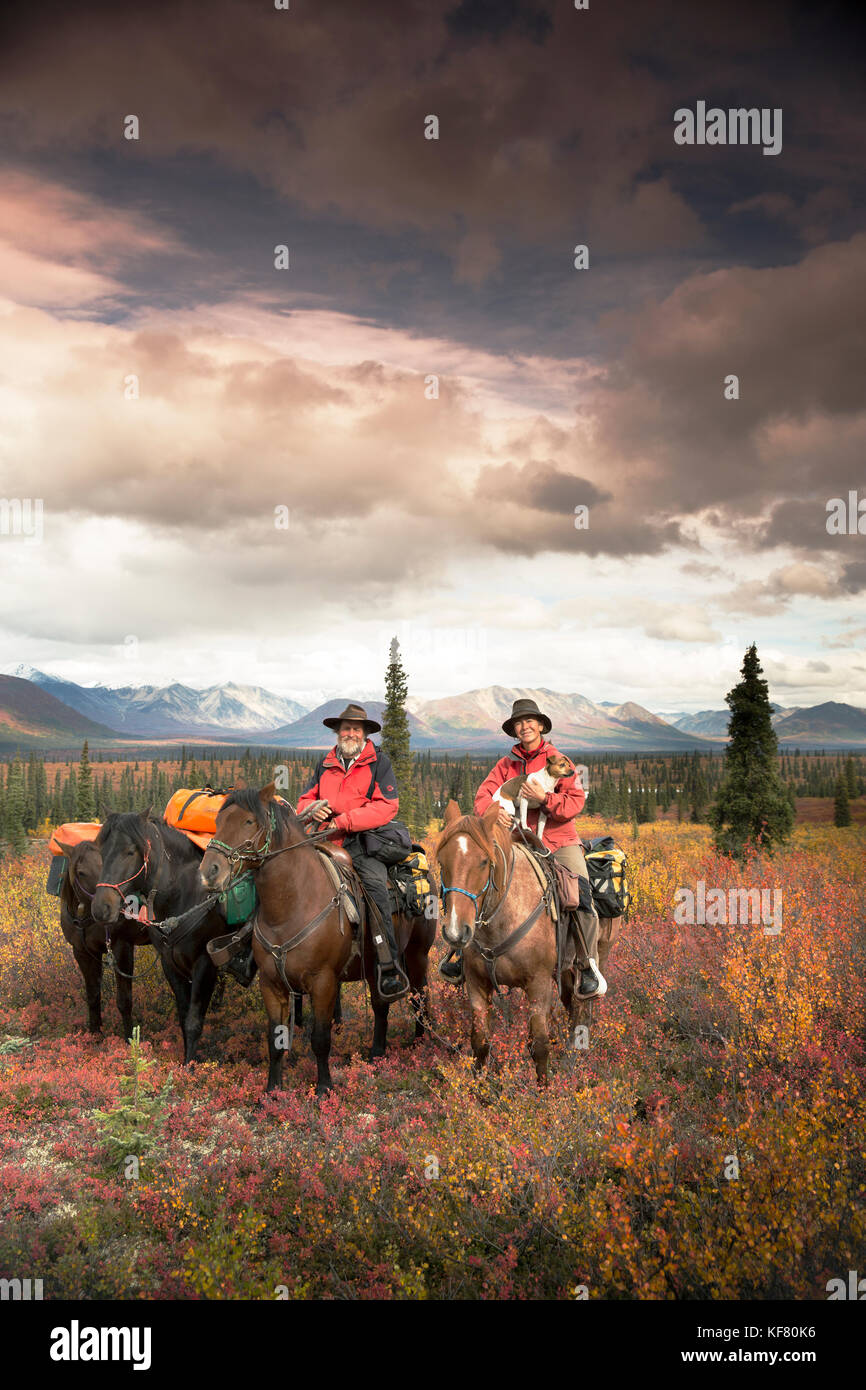 USA, Alaska, Cantwell, Horse Pack trip into the Jack River Valley at ...