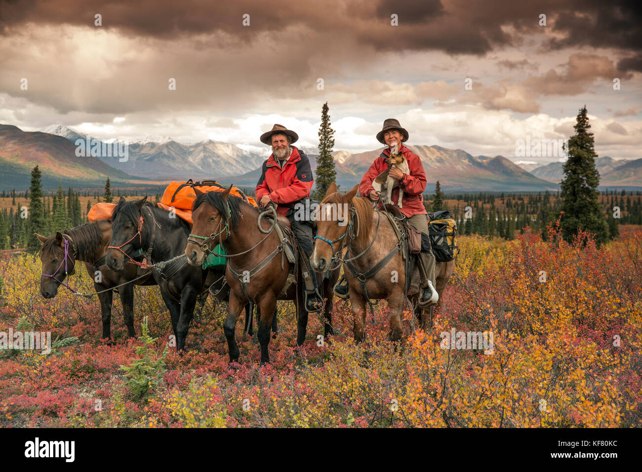 USA, Alaska, Cantwell, Horse Pack trip into the Jack River Valley at ...