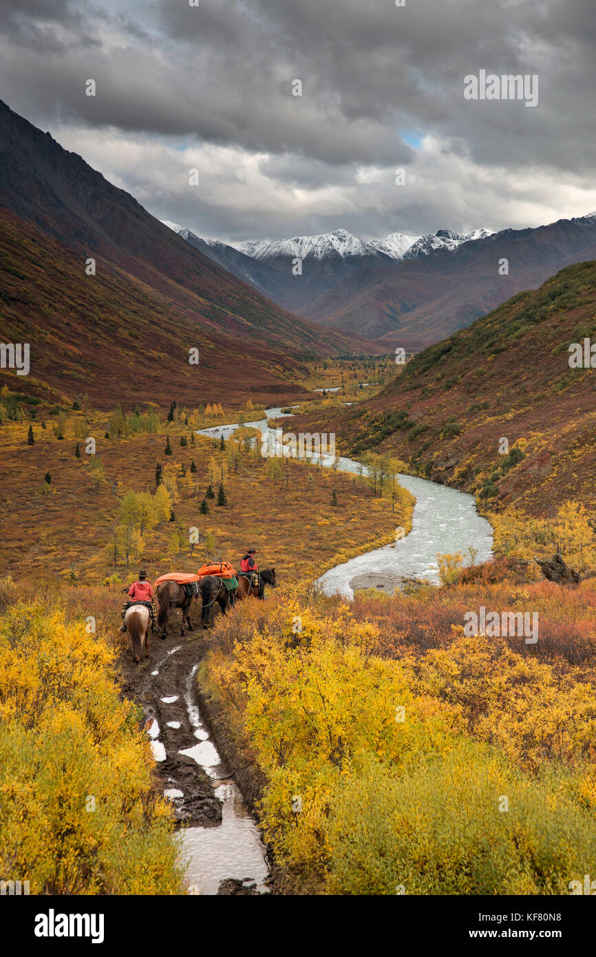 USA, Alaska, Cantwell, Horse Pack trip into the Jack River Valley at ...