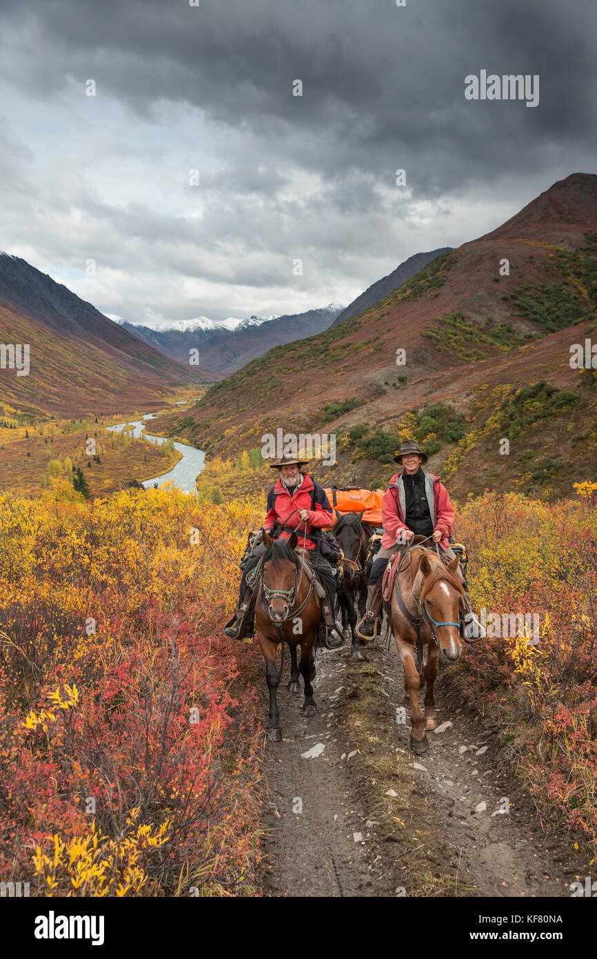 USA, Alaska, Cantwell, Horse Pack trip into the Jack River Valley at ...