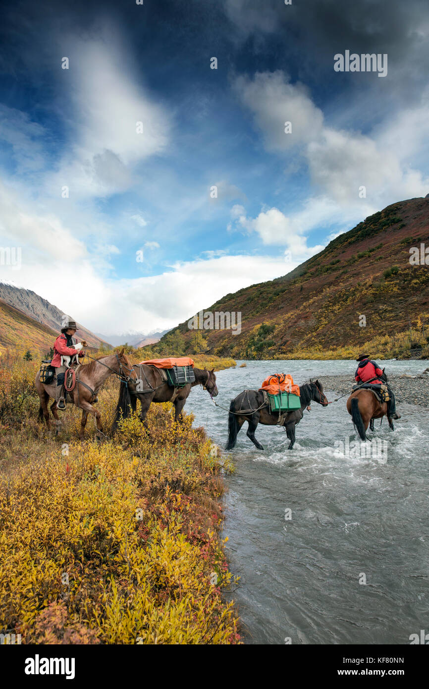 USA, Alaska, Cantwell, Horse Pack trip into the Jack River Valley at ...