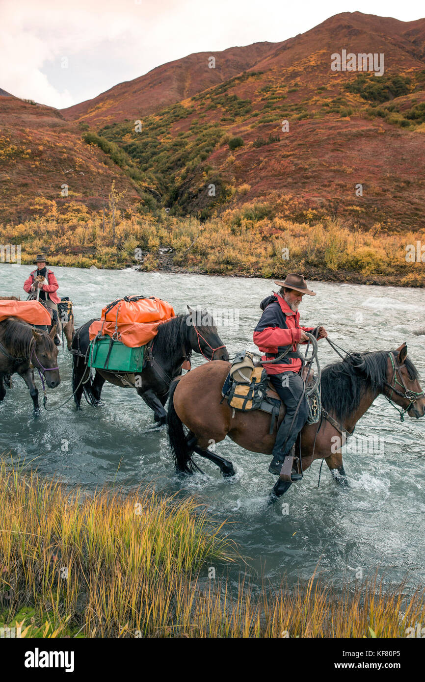 USA, Alaska, Cantwell, Horse Pack trip into the Jack River Valley at ...