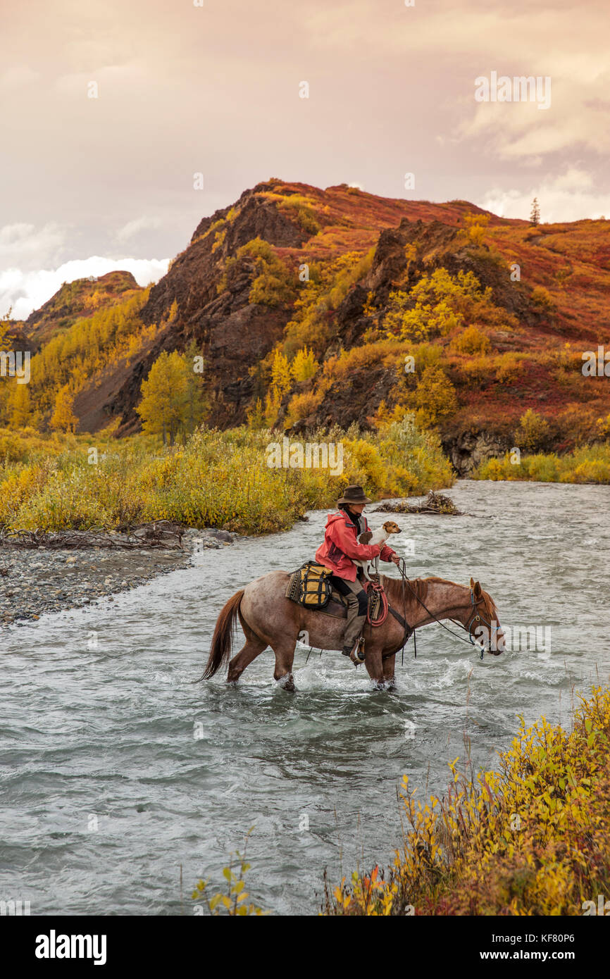 USA, Alaska, Cantwell, Horse Pack trip into the Jack River Valley at ...
