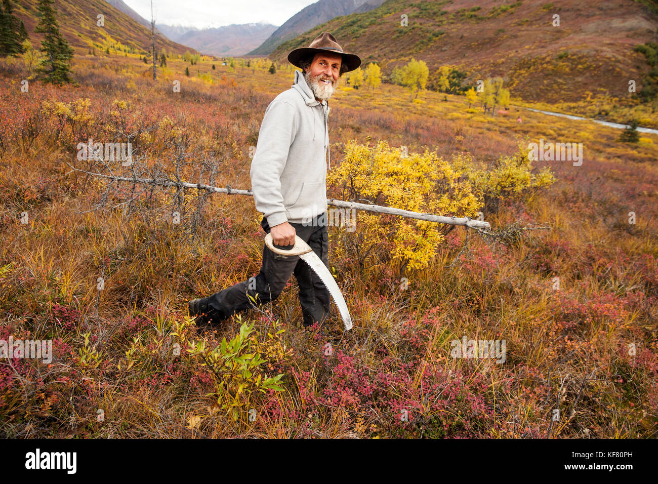 USA, Alaska, Cantwell, Horse Pack trip into the Jack River Valley at ...