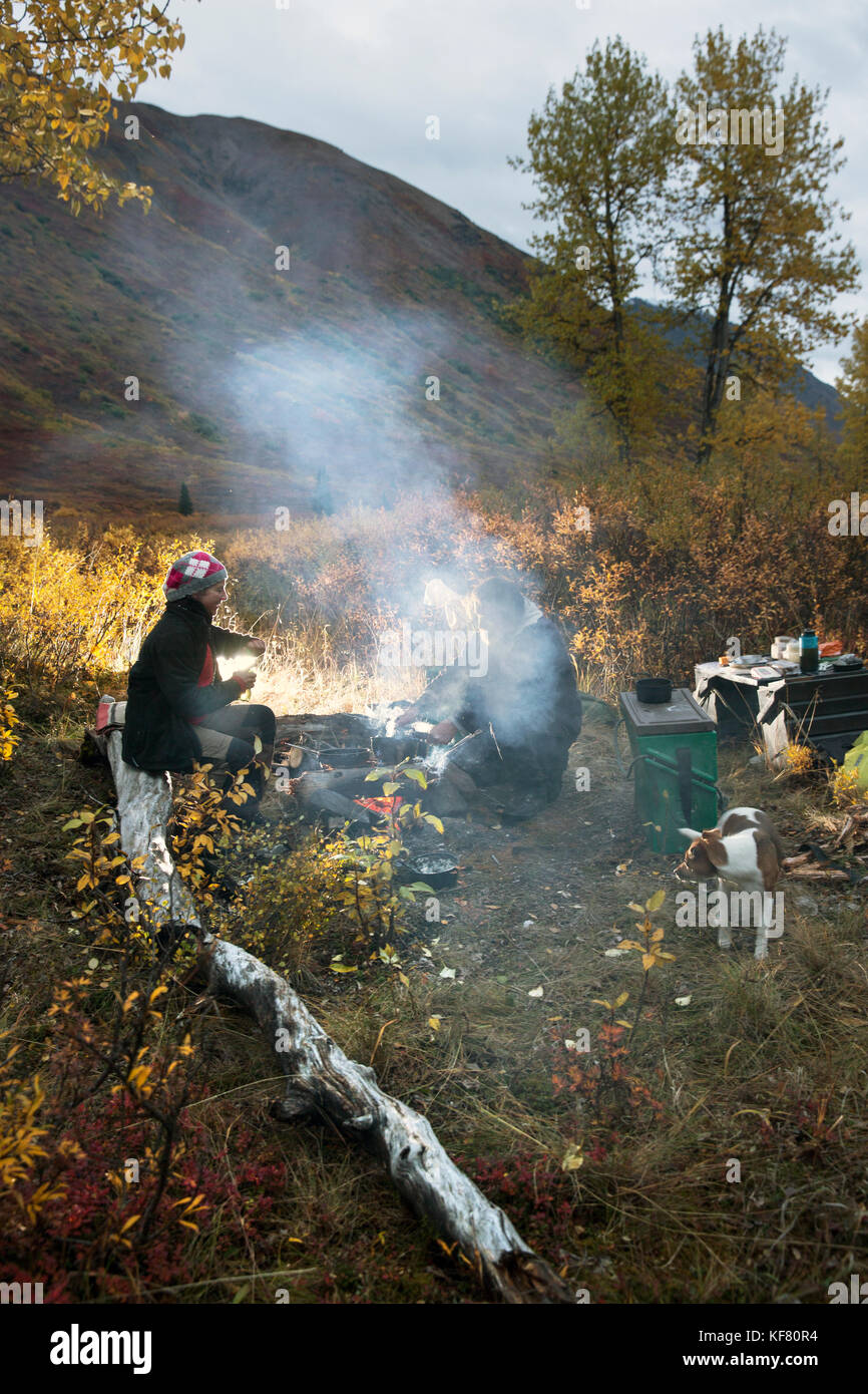 USA, Alaska, Cantwell, Horse Pack trip into the Jack River Valley at ...
