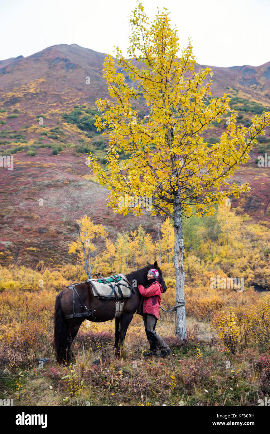 USA, Alaska, Cantwell, Horse Pack trip into the Jack River Valley at ...