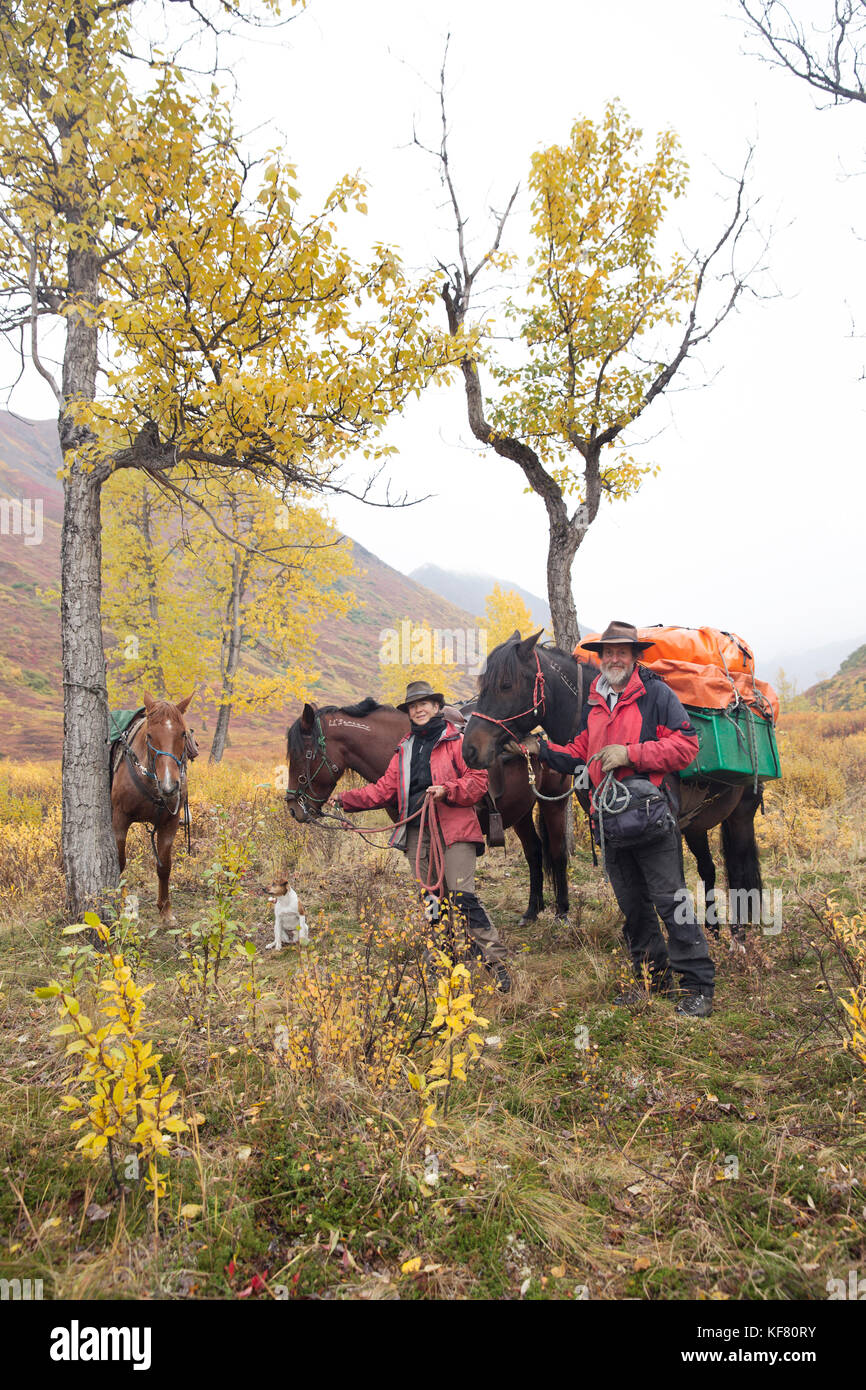 USA, Alaska, Cantwell, Horse Pack trip into the Jack River Valley at ...