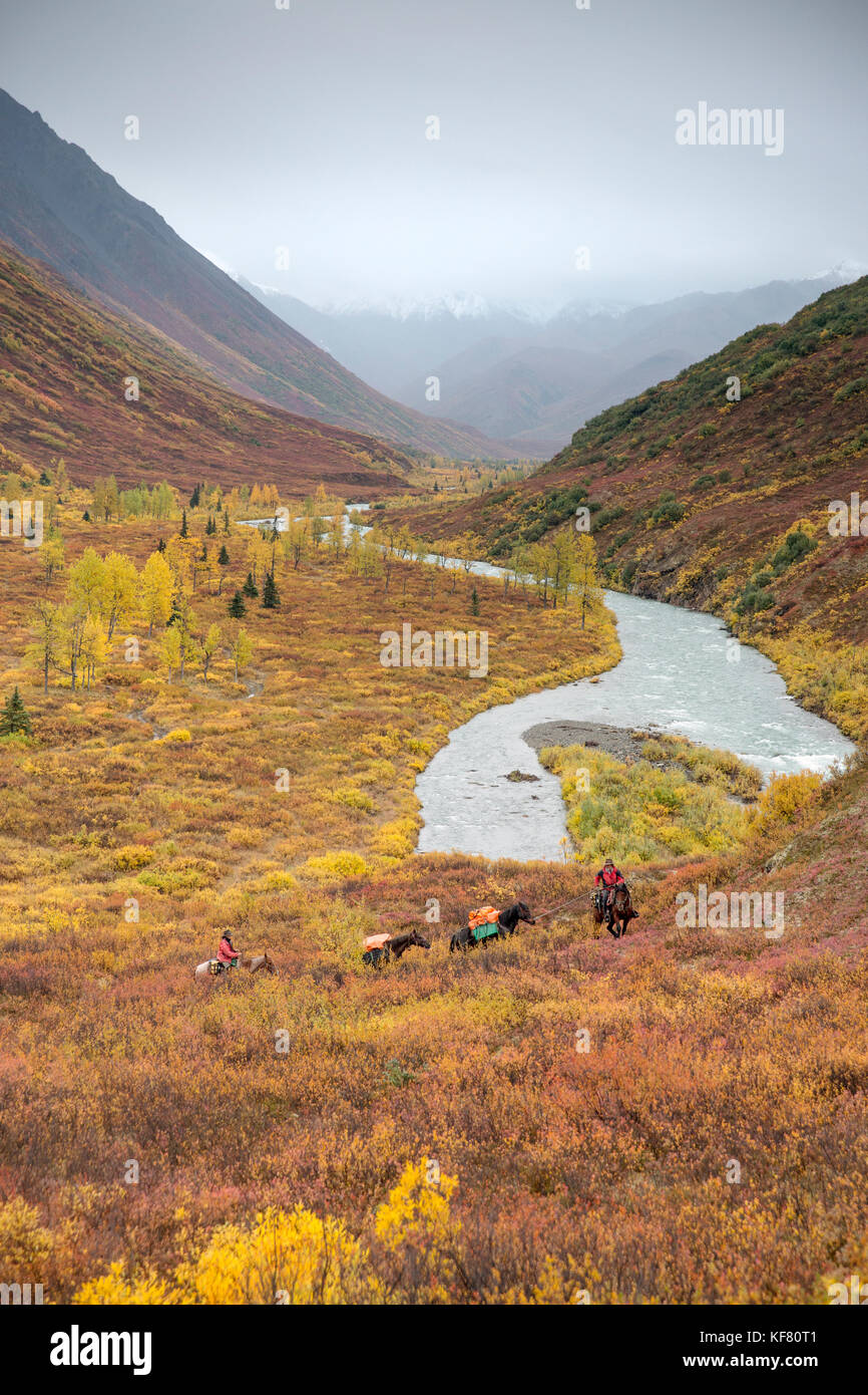 USA, Alaska, Cantwell, Horse Pack trip into the Jack River Valley at ...