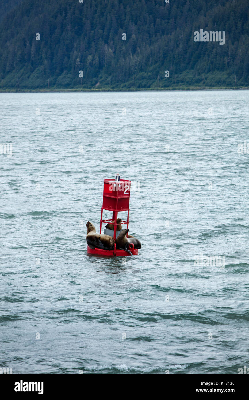 USA, Alaska, Juneau, whale watching and exploring in Stephens Passage ...