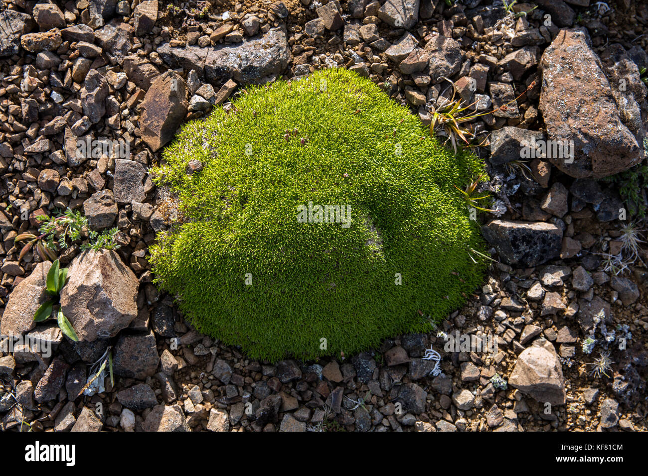 Breathtaking backdrops hi-res stock photography and images - Alamy